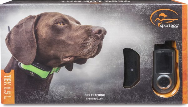 5 Best Hunting Dog Collars in 2024 – Reviews & Top Picks – Dogster