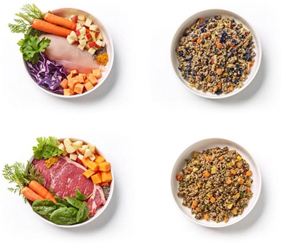 10 Best Fresh Dog Food Delivery Services in the UK in 2024 - Reviews ...