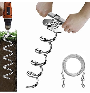 18 Best Dog Tie-Outs & Stakes in 2024: Reviews & Top Picks – Dogster