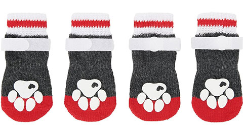 7 Best Dog Socks in 2024: Reviews & Top Picks – Dogster