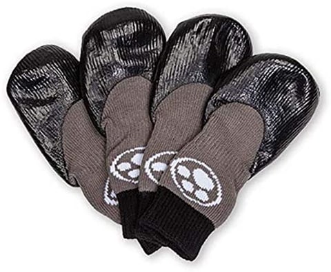7 Best Dog Socks in 2024: Reviews & Top Picks – Dogster
