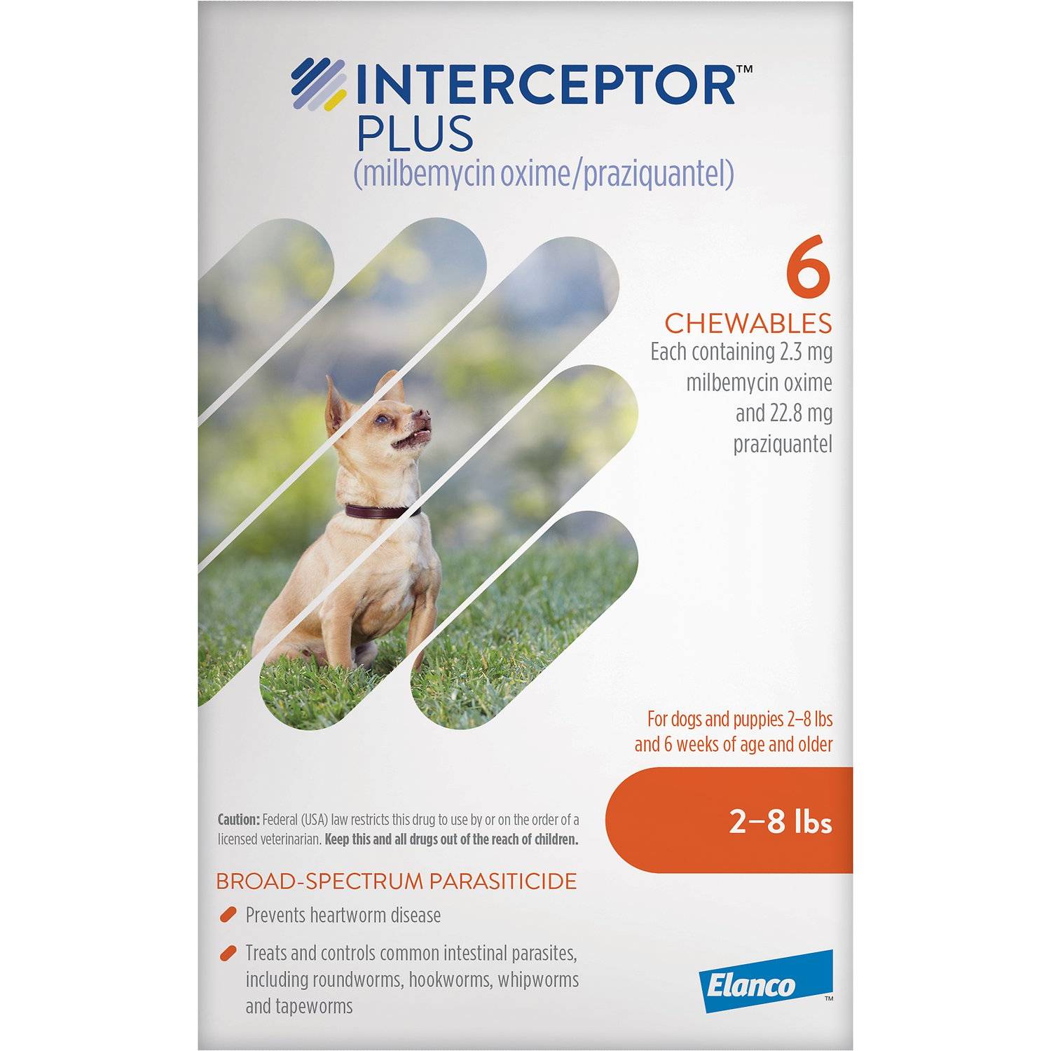 10 Best Dewormers for Puppies in 2024 - Reviews & Top Picks – Dogster