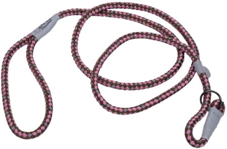 7 Best Slip Leads for Dogs in 2024 - Reviews & Top Picks – Dogster