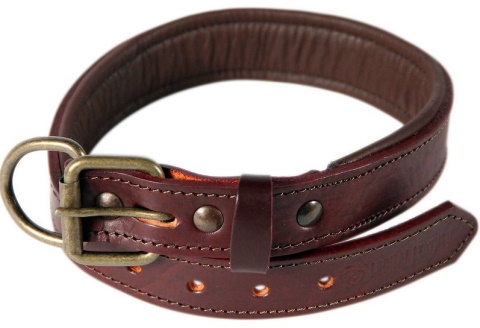 10 Best Leather Dog Collars in 2024 - Reviews & Top Picks – Dogster