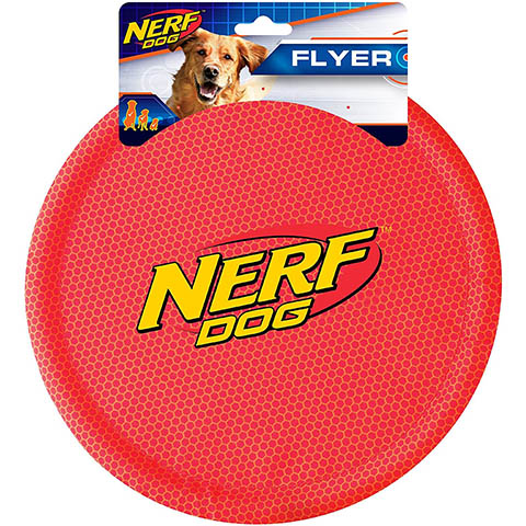 8 Best Dog Frisbees in 2024: Reviews & Top Picks – Dogster