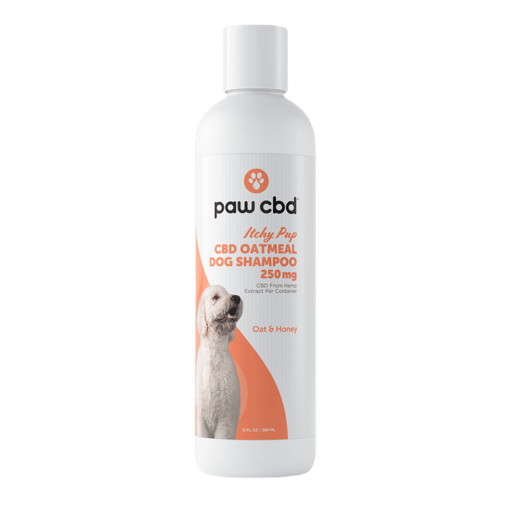 9 Best CBD Dog Shampoos in 2024 - Reviews & Top Picks – Dogster