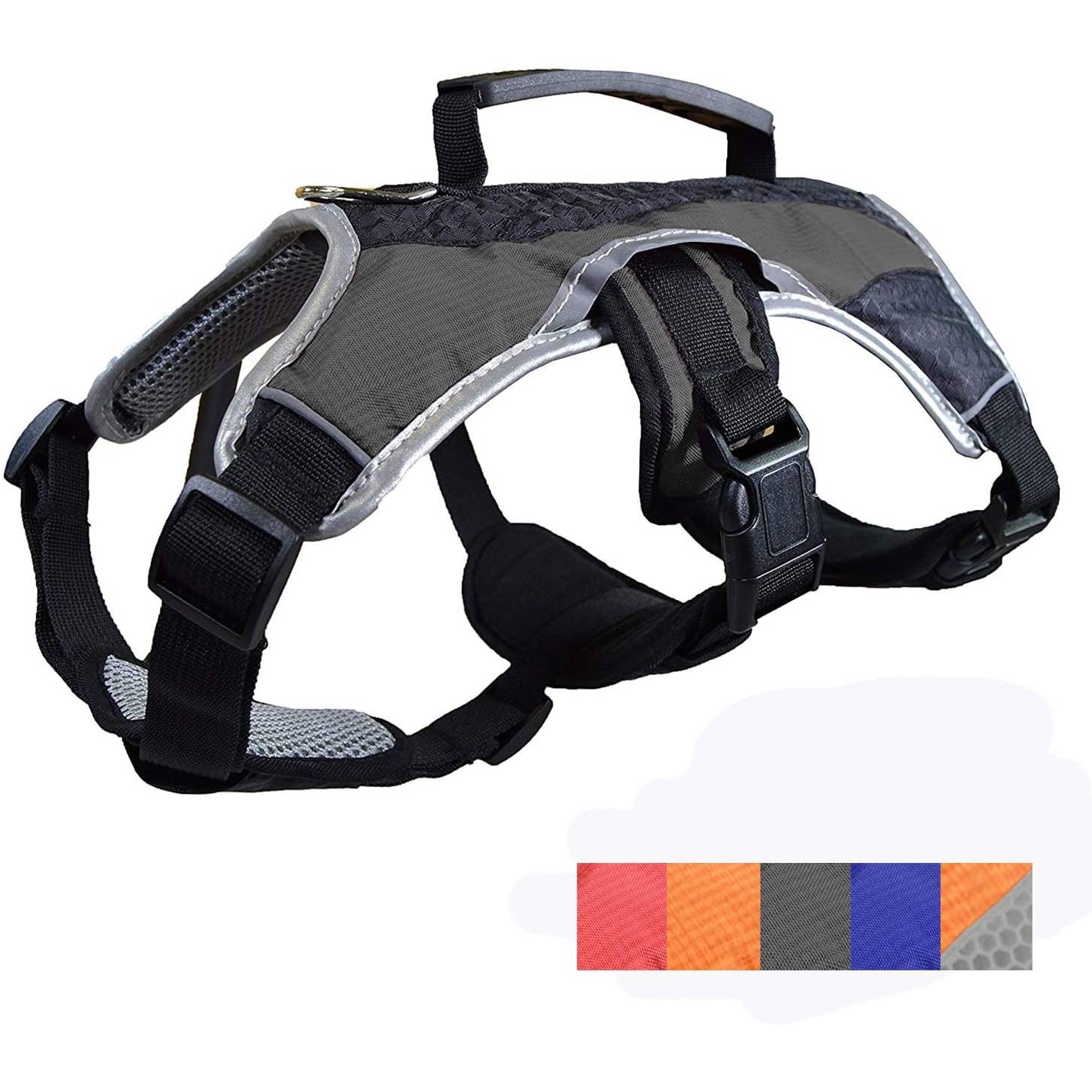 9 Best Dog Lift Harnesses in 2024 - Reviews & Top Picks – Dogster