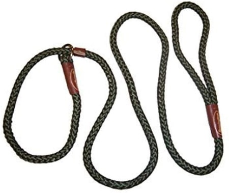 7 Best Slip Leads for Dogs in 2024 - Reviews & Top Picks – Dogster