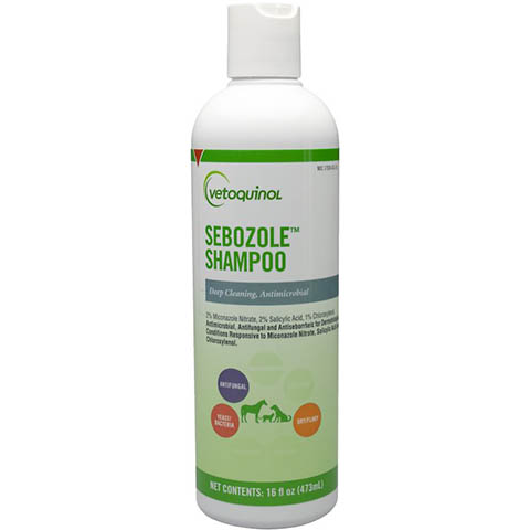 11 Best Shampoos for Maltese in 2024: Reviews & Top Picks – Dogster